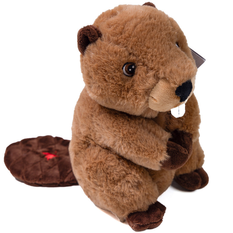 Eco Beaver - Made from Recycled Materials – UCANADA